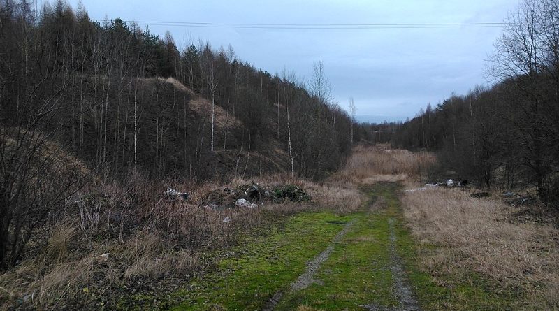 Valvur ja valvatav ehk diktüoneemakilt ja fosforiit - Ajakiri ...